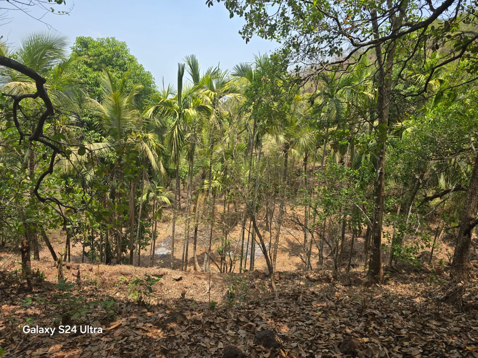Kokan Valley